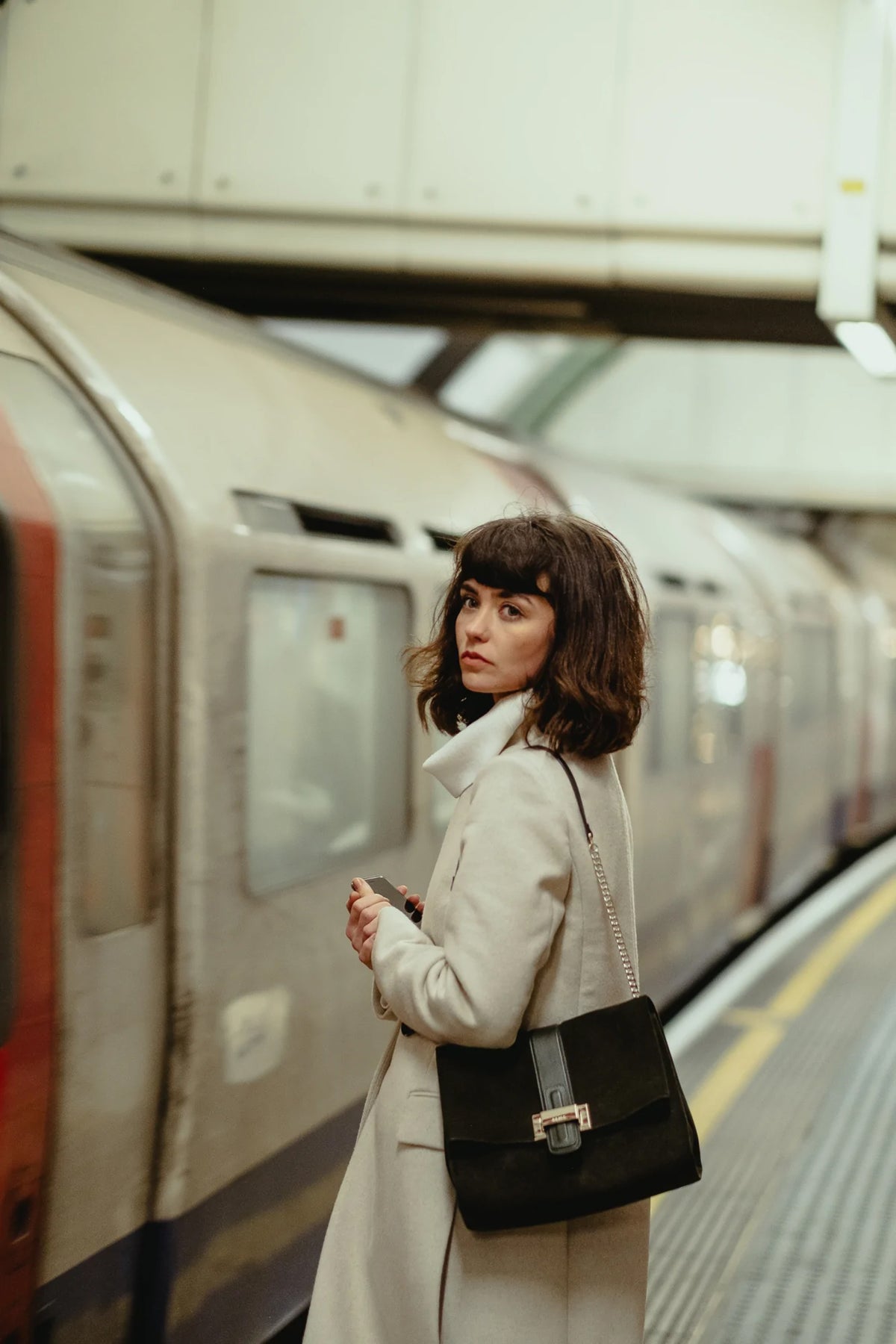 Commissions - Shane Taylor